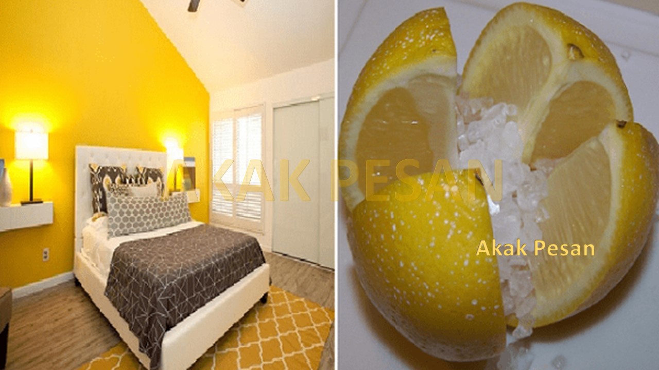 Lihat Hasil Sendiri Letakan Irisan Lemon Dan Garam Di Ruangan Bilik ...