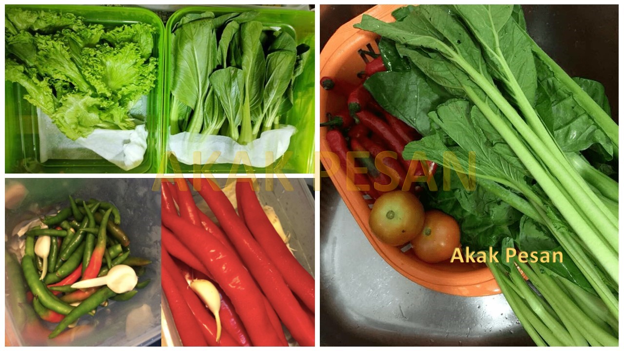 Bila Simpan Tahan Lama Ini Cara Pilih Sayur Betul-Betul Segar - Akak Pesan