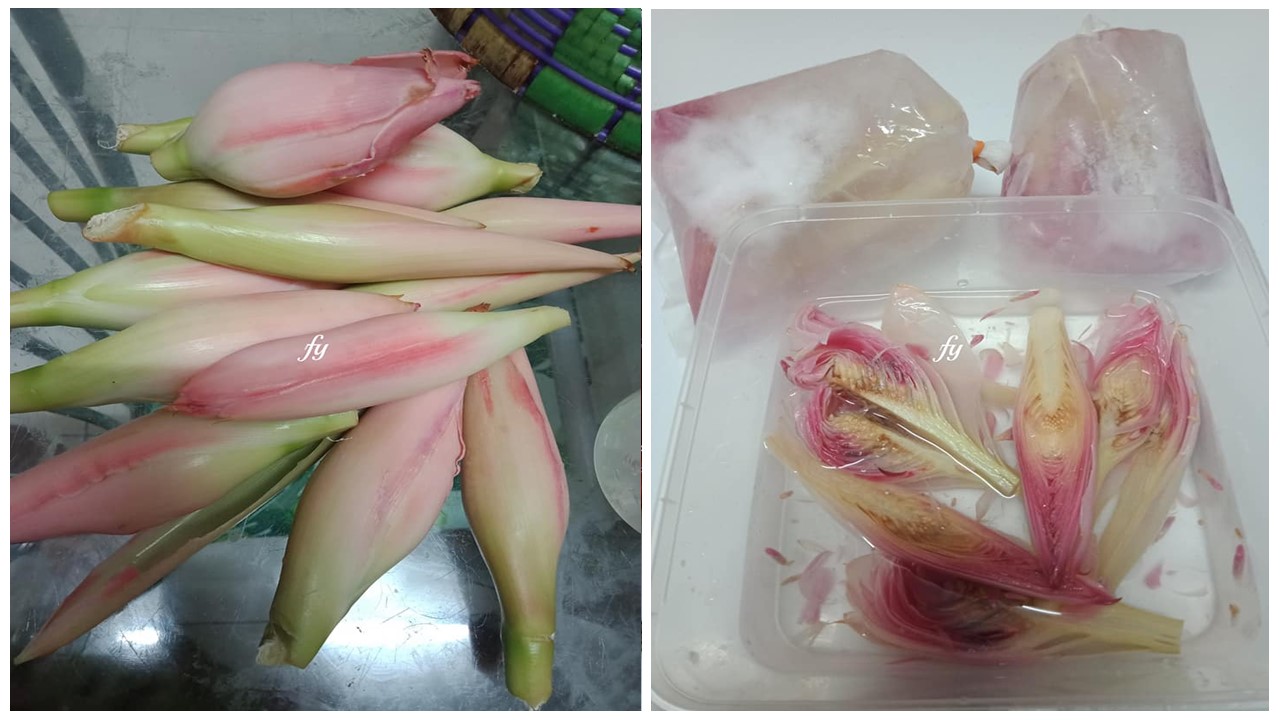 Bunga Kantan Beli 6 Bulan Masih Elok. Begini Cara Simpan Agar Tahan ...